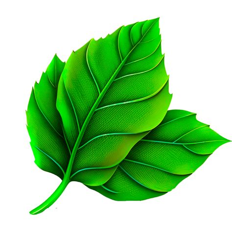 Round Leaf Png Ai Generative 24500989 Png
