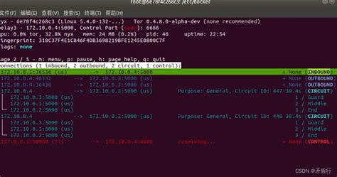 使用docker在ubuntu上搭建私有tor匿名网络 Csdn博客