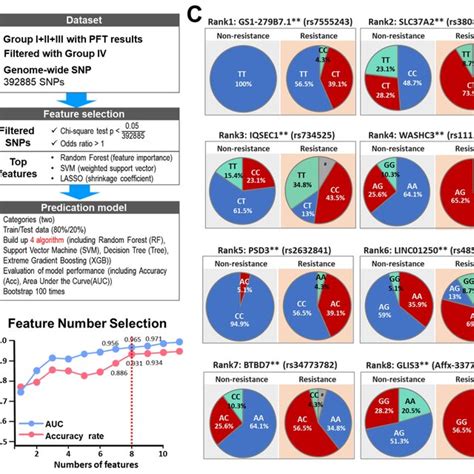 Prediction Models Built Based On Clinical Features And Genome Wide Snps Download Scientific