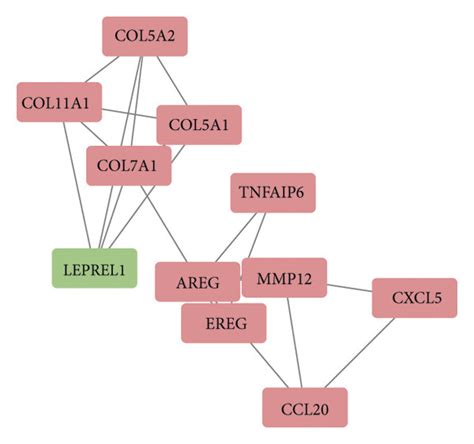 degs ppi network a ppi network constructed by string database b