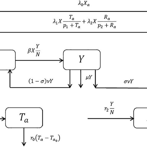 Contour Plot Of Basic Reproduction Number Download Scientific Diagram