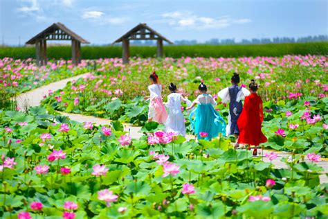 精彩图集 宁夏沙湖旅游官方网站