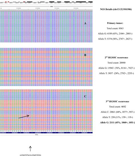 Bam Files Visualized By The Integrative Genomics Viewer Show The Download Scientific Diagram