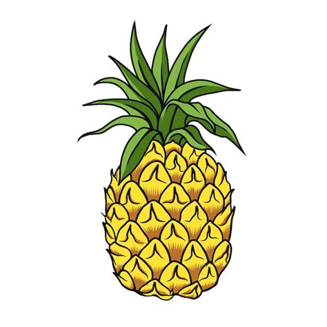 Pineapple Vector Premium Vector