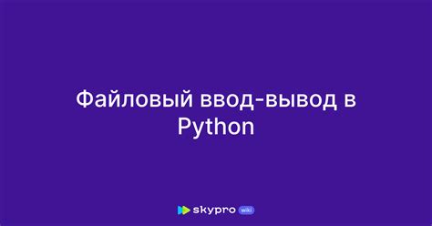 Файловый ввод вывод в Python
