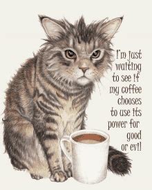 Need Coffee Funny S Tenor