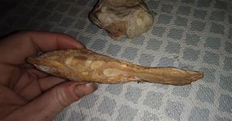 Hash Stone Fossil Album On Imgur