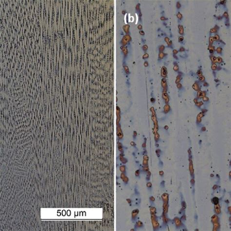 Primary Dendrite Arm Spacing Pr Is The Primary Deposited Layer While Download Scientific