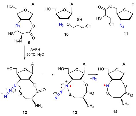Nitrogen Centered Radicals Derived From Azidonucleosides