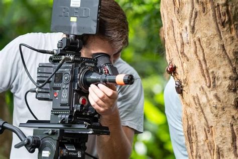 Why Bbc Earths Asia Is The Most Important Nature Documentary Of The