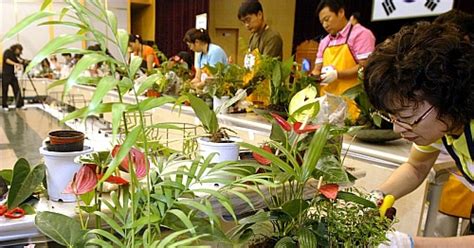 실내정원 만들기