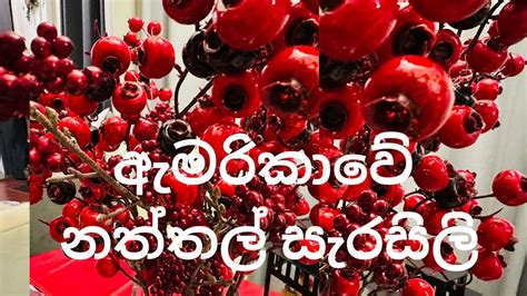 ඇමරිකාවේ නත්තල් සැරසිලි Part 2 🇺🇸🇺🇸 Youtube