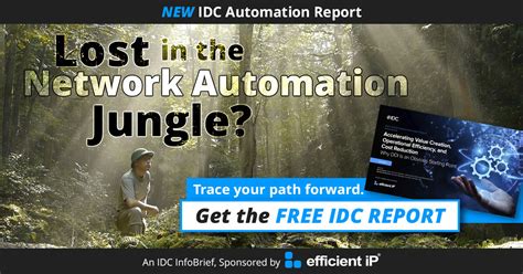 Efficientip On Linkedin Networkautomation Cisco Networkengineer Cybersecurity Devops