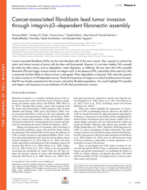 Pdf Cancer Associated Fibroblasts Lead Tumor Invasion Through Integrin β3 Dependent