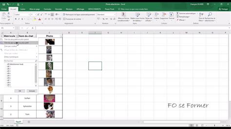 ᐉ Attacher Une Image A Une Cellule Numbers SOS Excel