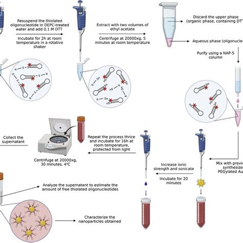 Schematic Representation Of Pegylated Gold Nanoparticle Synthesis