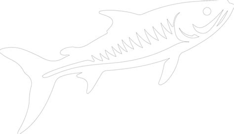 Premium Vector Barracuda Outline With Transparent Background