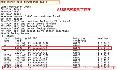锐捷mpls跨域方案c1实验配置 send label csdn博客