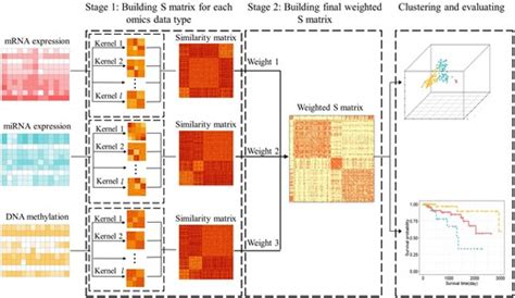 cancer subtyping with heterogeneous multi omics data via hierarchical