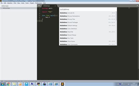 How To Install The Latest GoSublime Issue DisposaBoy