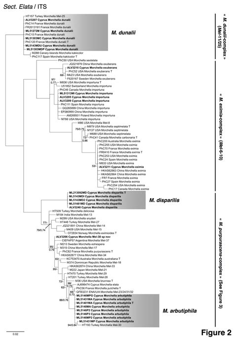 bayesian 50 majority rule consensus tree inferred from its regions