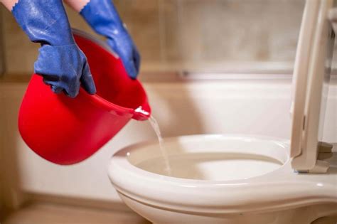 ახალი ხრიკი საპნით და წინდით როგორ მოიშოროთ სუნი ტუალეტში რჩევები ვივიენისგან