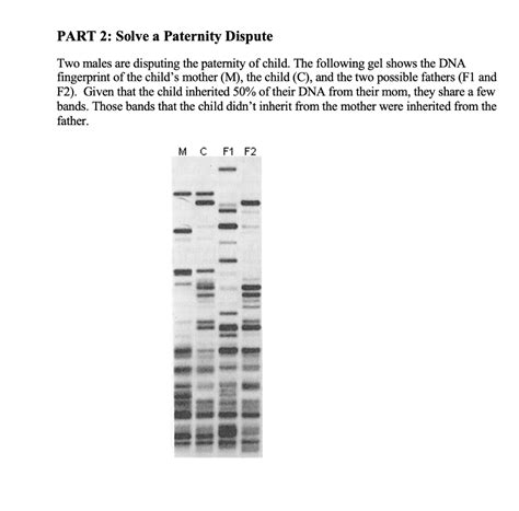 Solved PART 2 Solve A Paternity Dispute Two Males Are Chegg Com
