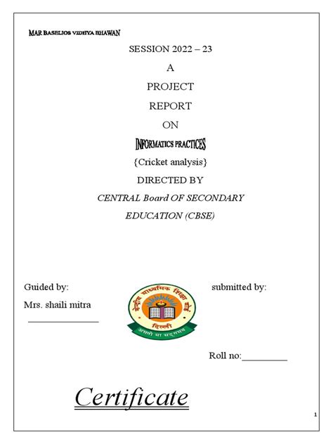 Project Documents On Cricket Analysis Pdf Software Engineering Computer Architecture