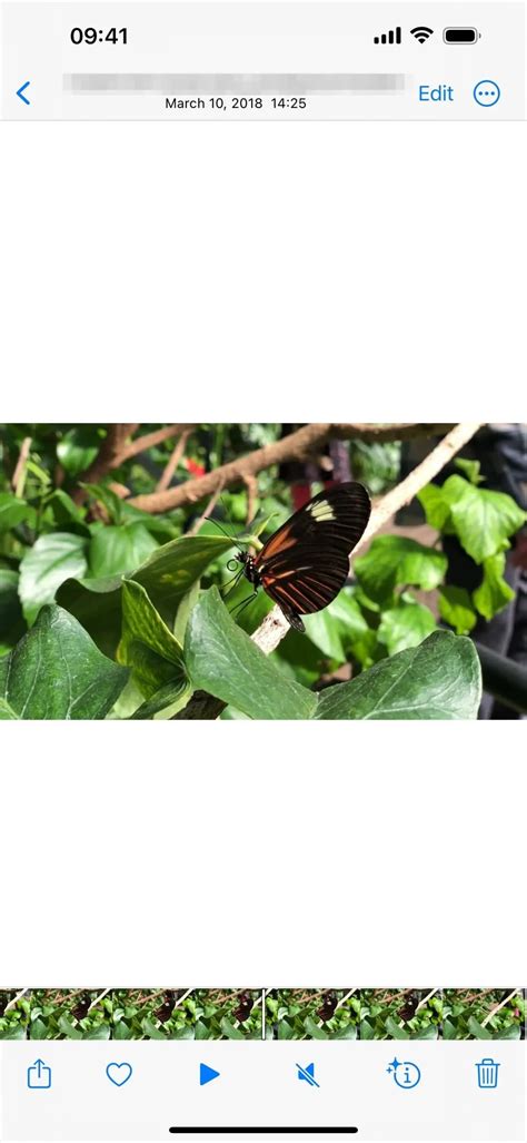 Ios 17에서 알아야 할 Iphone의 새로운 사진 기능 23가지 4pmtech Korea