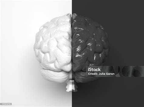 흑백 인간의 뇌는 중간에 두 부분으로 반으로 분할 절반은 흰색 나머지 절반은 검은색입니다 창조적 인 개념 일러스트레이션 3d