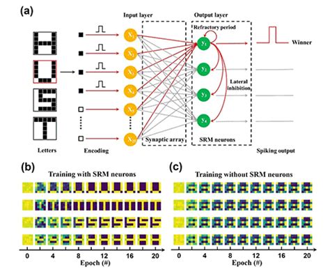 Featured In Chip Chip ScienceDirect By Elsevier