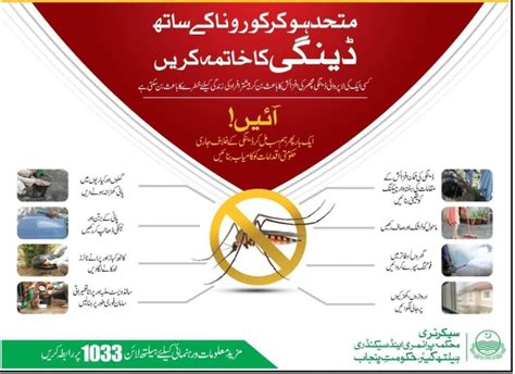 Dengue Cell Lahore Official On Twitter Gjkfzlearf Twitter