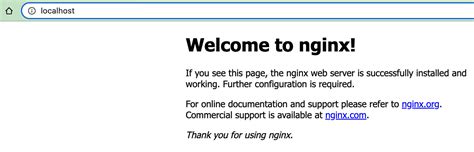 How To Start An Nginx Web Server Using Docker By Bina Aws Tip