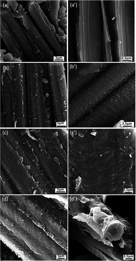 Fabrication And Multifunctional Properties Of Polyimide Based Hierarchical Composites With In
