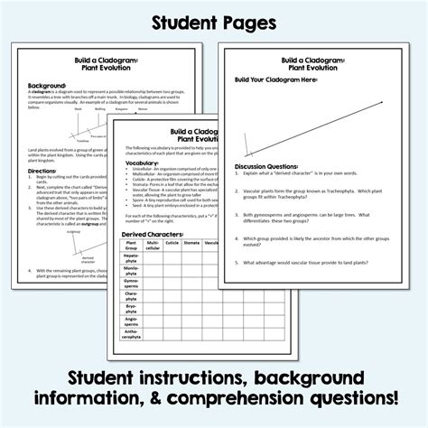 Free Plant Cladogram Activity Suburban Science Free Plant Cladogram Activity Suburban Science