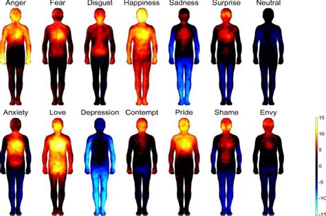 This Is Where Emotions Are Stored In Our Body Why Knowing This Matters