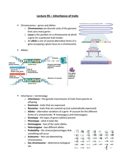 Lecture Inheritance Of Traits Lecture Inheritance Of Traits Chromosomes Genes And