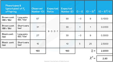 Statistical Analysis Of Dihybrid Crosses Hl Hl Ib Biology Revision