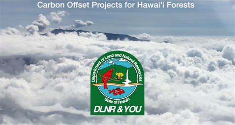 January 2017 Division Of Forestry And Wildlife