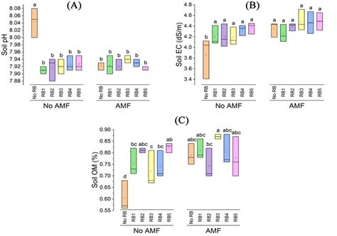 Effect Of Various Strains Of Pgpr Rb1 Pgpr1 Rb2 Pgpr2 Rb3 Download Scientific Diagram