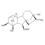 Gibberellic Acid 90 World Seed Supply