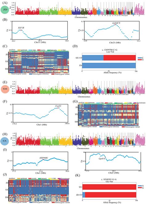 Genomic Regions With Unique Selection Signals A E H Selection