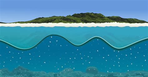 Innovative Solutions For Microplastics Analysis In Environmental