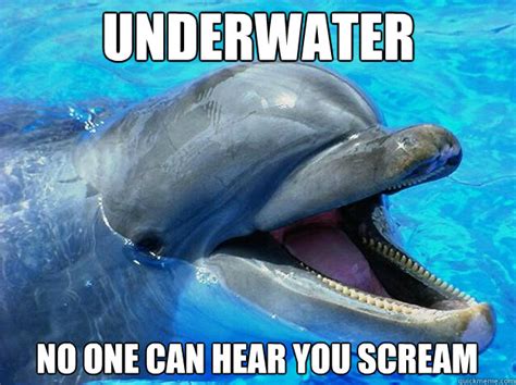 Underwater No One Can Hear You Scream Dolphin Days Quickmeme