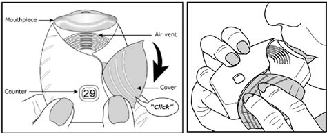 Figure 1 From The Ellipta® In Asthma And Chronic Obstructive Pulmonary