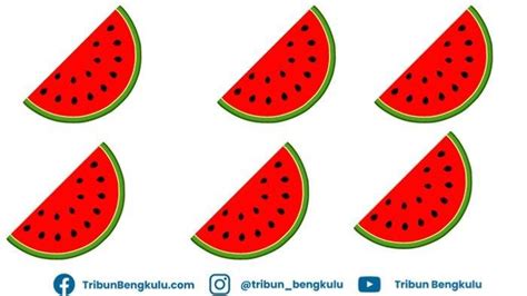 Alasan Emoji Semangka Ramai Diunggah Di Instagram Sebagai Bentuk Dukungan Palestina