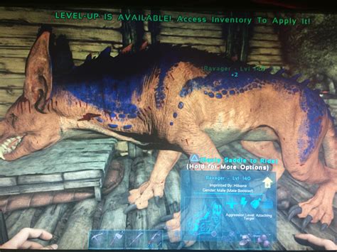 First Mutation R Arkps4