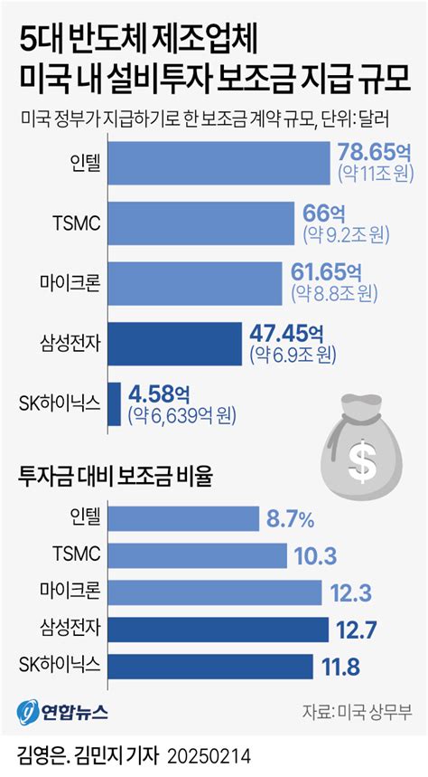 그래픽 5대 반도체 제조업체 미국 내 설비투자 보조금 지급 규모 연합뉴스