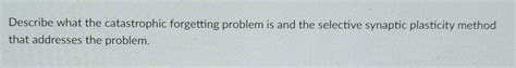 Solved Describe What The Catastrophic Forgetting Problem Is
